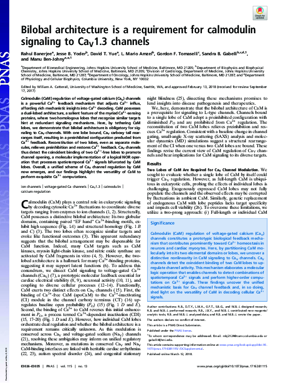 (PDF) {"__content__"=>"Bilobal architecture is a requirement for ...