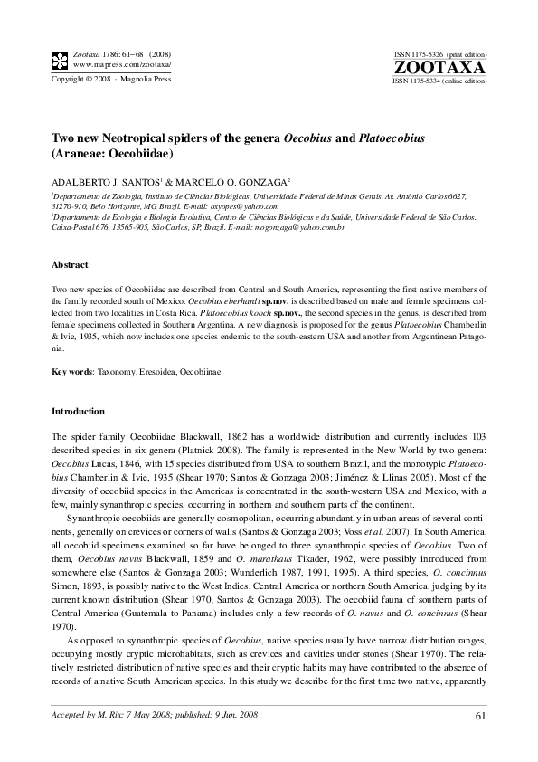 (PDF) Two new Neotropical spiders of the genera Oecobius and ...