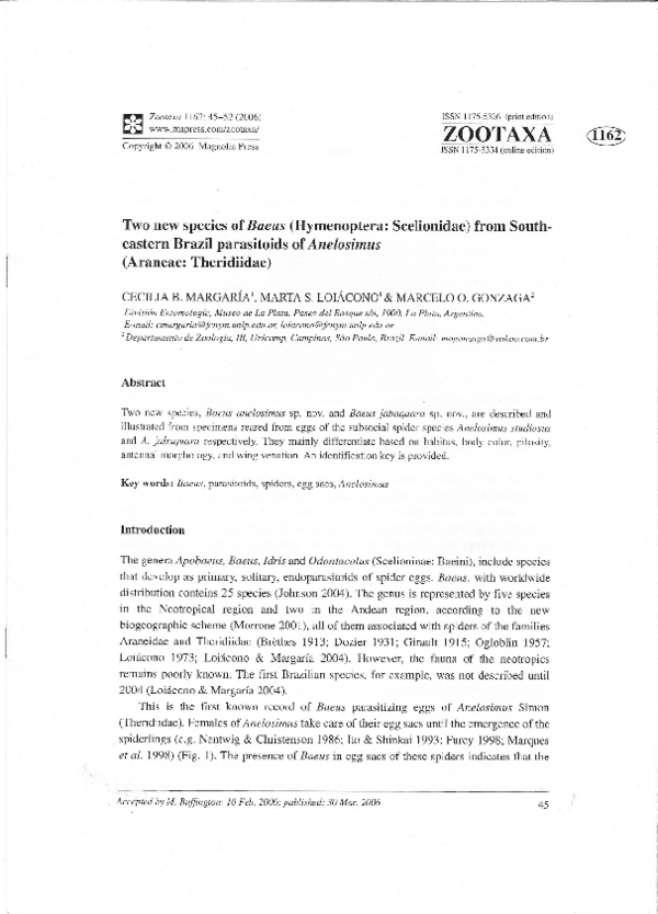 (PDF) Two new species of Baeus (Hymenoptera: Scelionidae) from ...