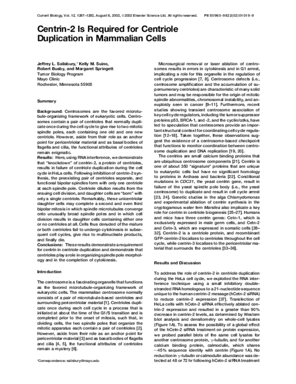 (PDF) Centrin-2 Is Required for Centriole Duplication in Mammalian Cells