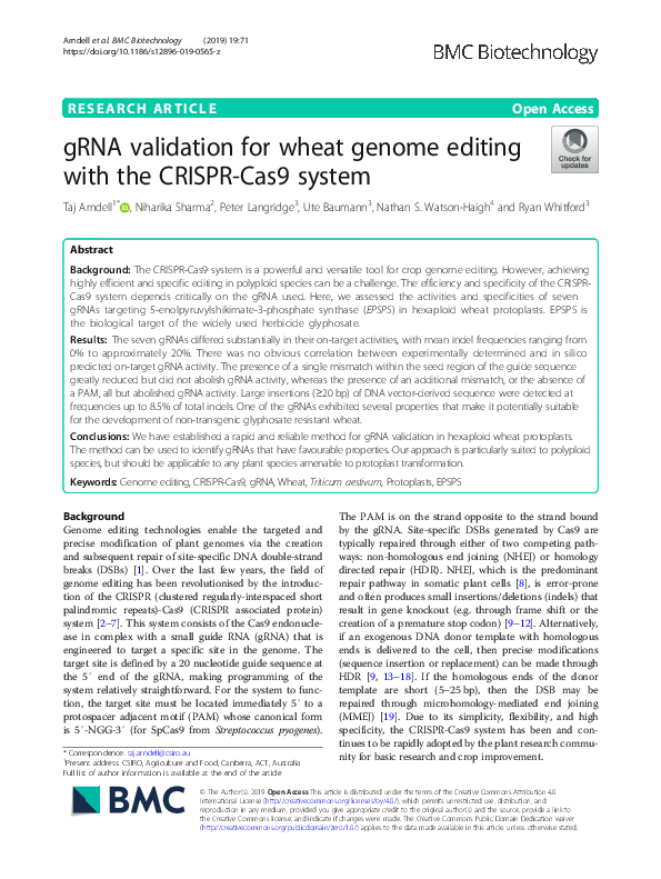 (PDF) gRNA validation for wheat genome editing with the CRISPR-Cas9 system