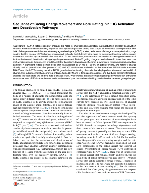 (PDF) Sequence of gating charge movement and pore gating in HERG ...