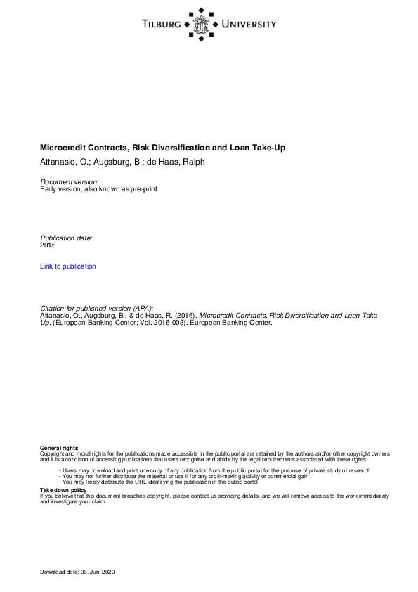 (PDF) Microcredit Contracts, Risk Diversification and Loan Take-Up