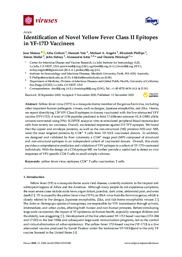 (PDF) Identification of Novel Yellow Fever Class II Epitopes in YF-17D ...
