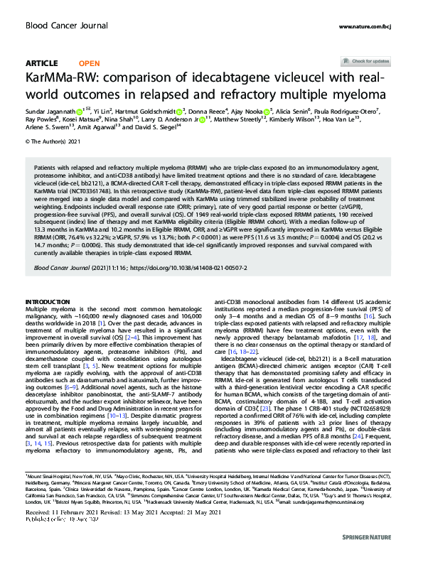 (PDF) KarMMa-RW: comparison of idecabtagene vicleucel with real-world outcomes in relapsed and ...