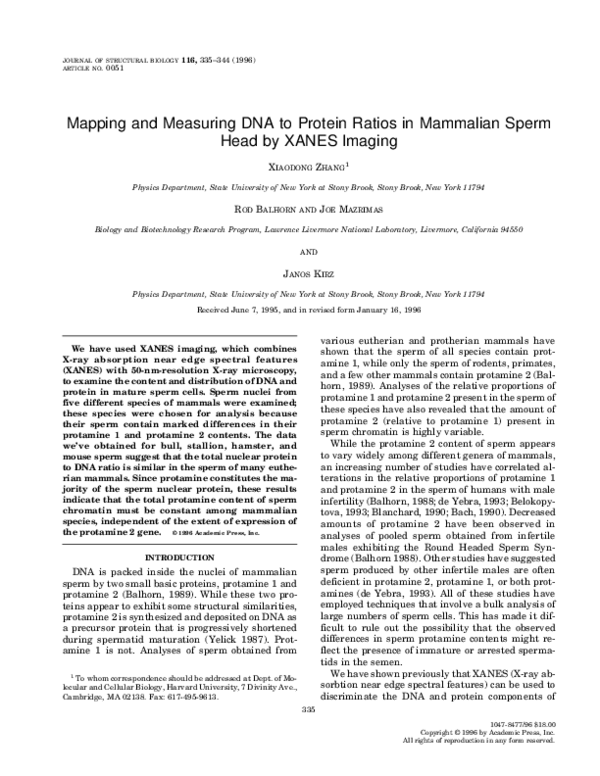 (PDF) Mapping and Measuring DNA to Protein Ratios in Mammalian Sperm ...