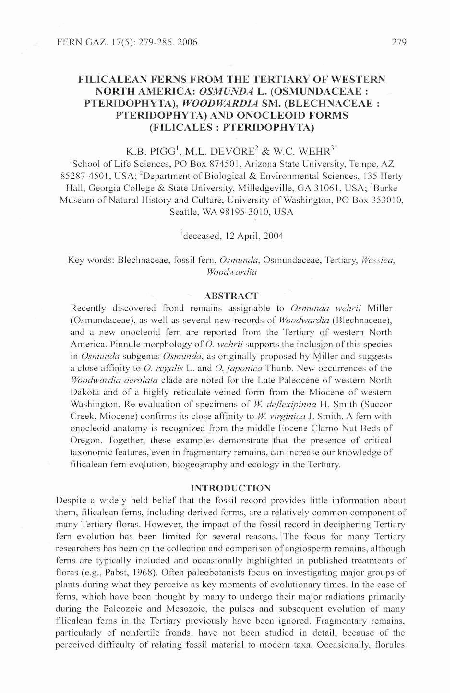 (PDF) Filicalean ferns from the tertiary of western North America ...