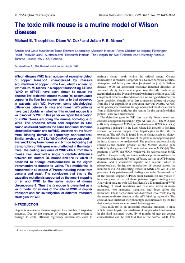 (PDF) The toxic milk mouse is a murine model of Wilson disease