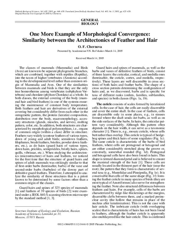 (PDF) One More Example of Morphological Convergence: Similarity between ...