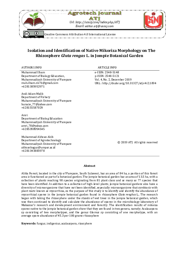 (PDF) Isolation and Identification of Native Mikoriza Morphology on The ...