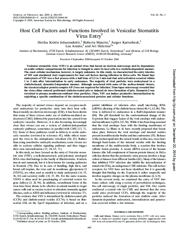 (PDF) Host Cell Factors and Functions Involved in Vesicular Stomatitis ...