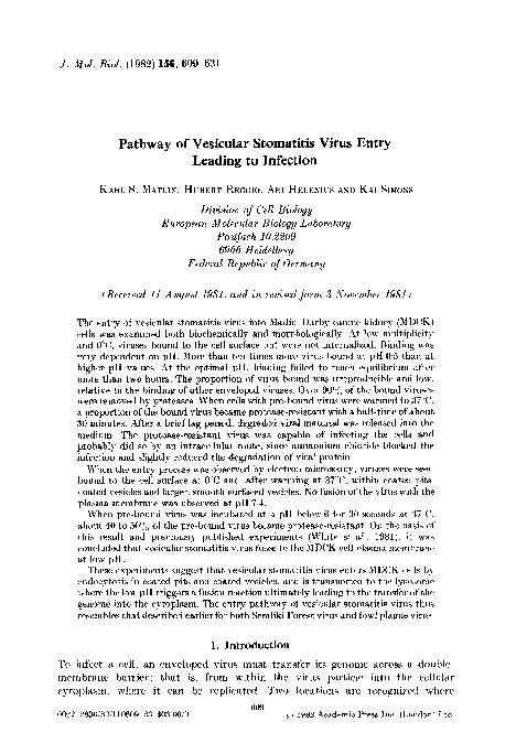 (PDF) Pathway of vesicular stomatitis virus entry leading to infection