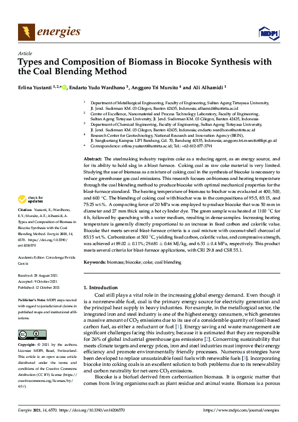 (PDF) Types and Composition of Biomass in Biocoke Synthesis with the ...