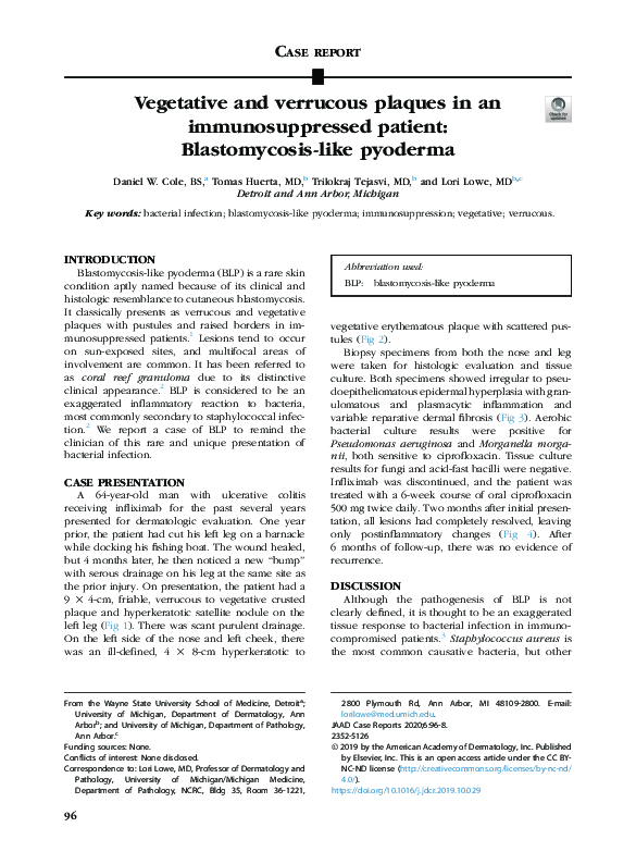 (PDF) Vegetative and verrucous plaques in an immunosuppressed patient ...