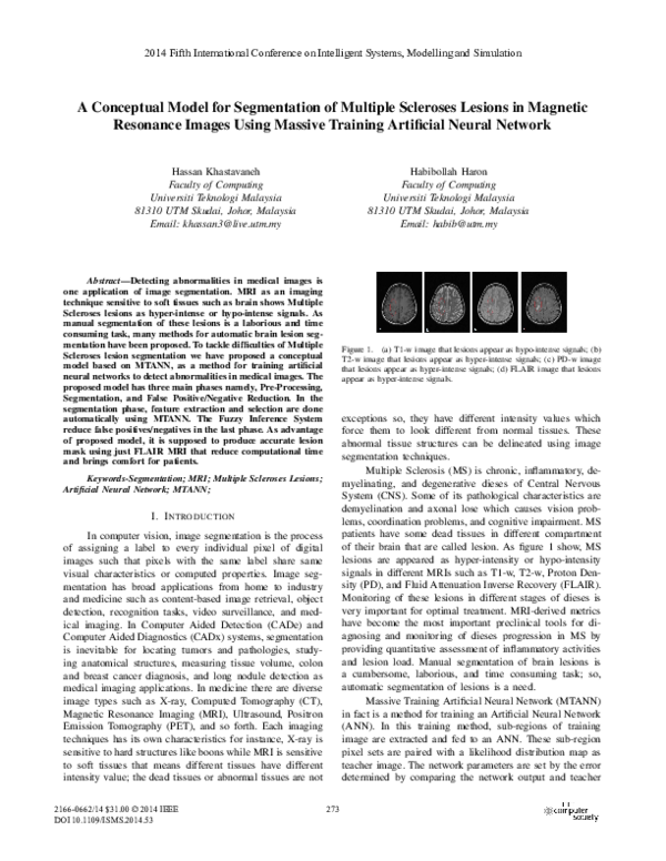 (PDF) A Conceptual Model for Segmentation of Multiple Sclerosis Lesions in Magnetic Resonance ...