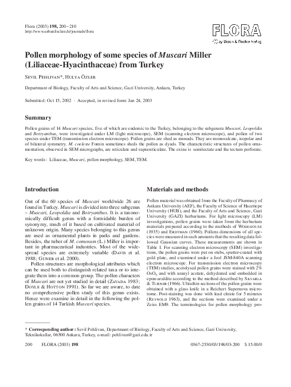 (PDF) Pollen morphology of some species of Muscari Miller (Liliaceae ...