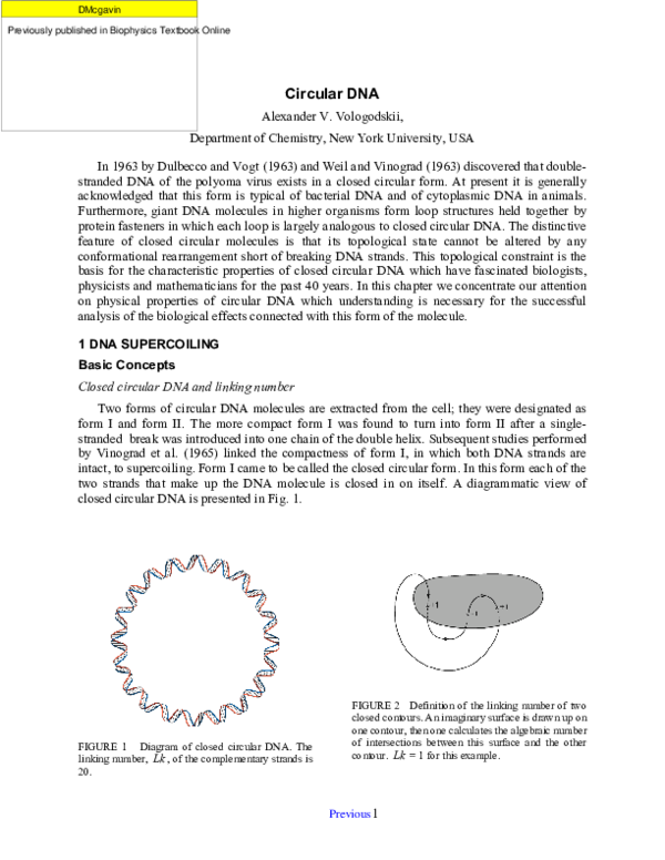 (PDF) Circular DNA