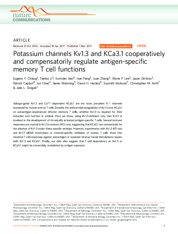 (PDF) Potassium channels Kv1.3 and KCa3.1 cooperatively and ...