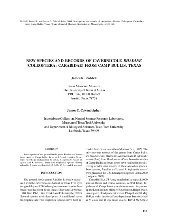 (PDF) New species and records of cavernicole Rhadine (Coleoptera ...