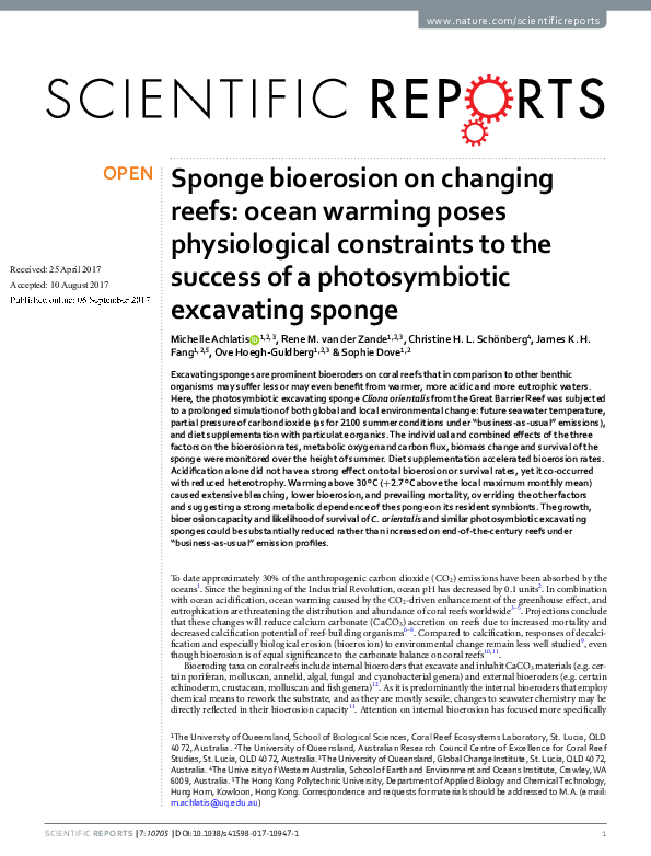 (PDF) Sponge bioerosion on changing reefs: ocean warming poses ...