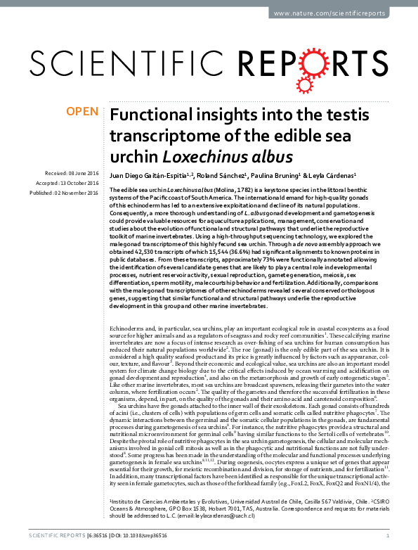 (PDF) Functional insights into the testis transcriptome of the edible ...