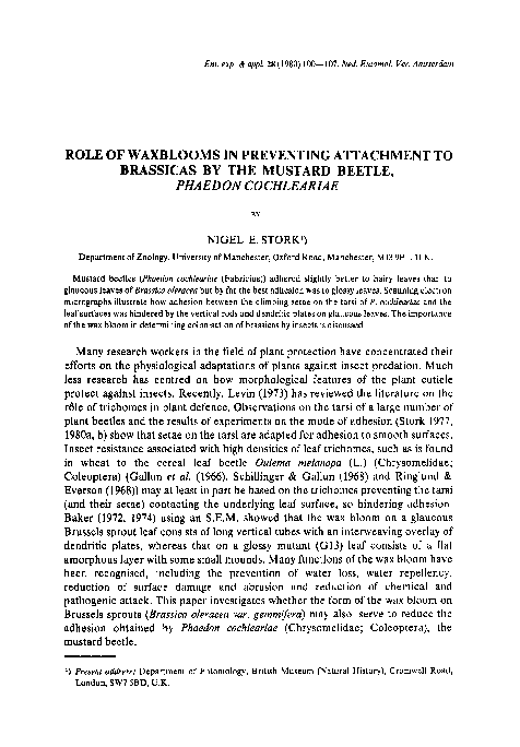 (PDF) Role of Waxblooms in Preventing Attachment to Brassicas by the ...