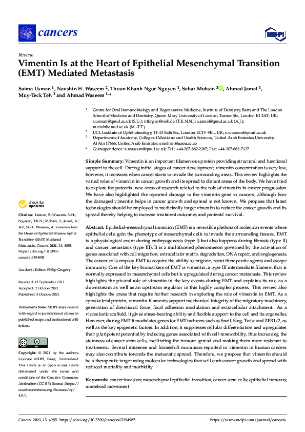 (PDF) Vimentin Is at the Heart of Epithelial Mesenchymal Transition ...