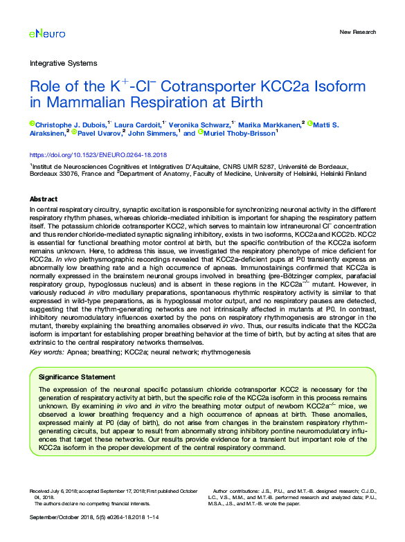 (PDF) Role of the K+-Cl– Cotransporter KCC2a Isoform in Mammalian ...
