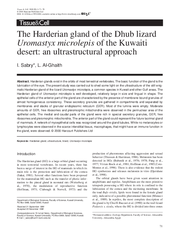 (PDF) The Harderian gland of the Dhub lizard Uromastyx microlepis of ...