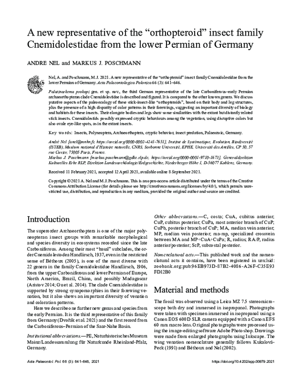 (PDF) A new representative of the "orthopteroid" insect family ...