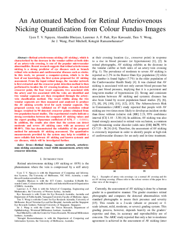 (PDF) An Automated Method for Retinal Arteriovenous Nicking ...