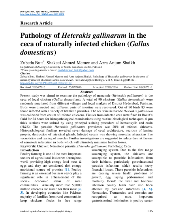 (PDF) Pathology of Heterakis gallinarum in the ceca of naturally ...