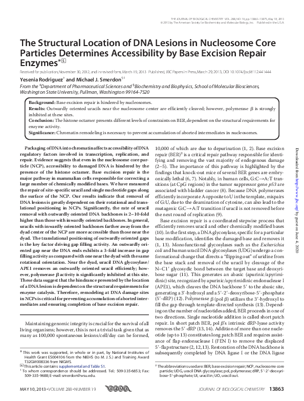 (PDF) The Structural Location of DNA Lesions in Nucleosome Core ...