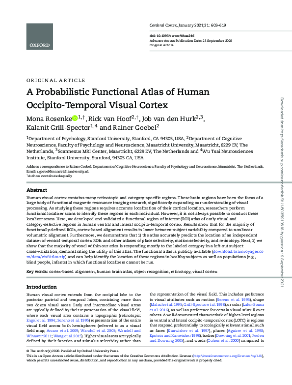 (PDF) A Probabilistic Functional Atlas of Human Occipito-Temporal Visual Cortex