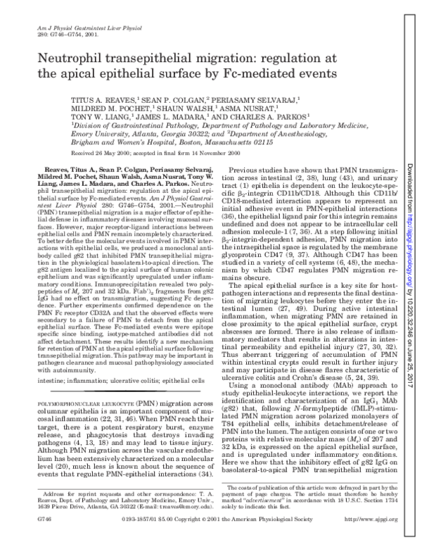 (PDF) Neutrophil transepithelial migration: regulation at the apical ...