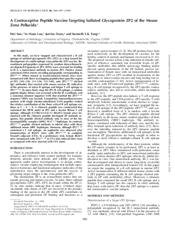 (PDF) A Contraceptive Peptide Vaccine Targeting Sulfated Glycoprotein ...
