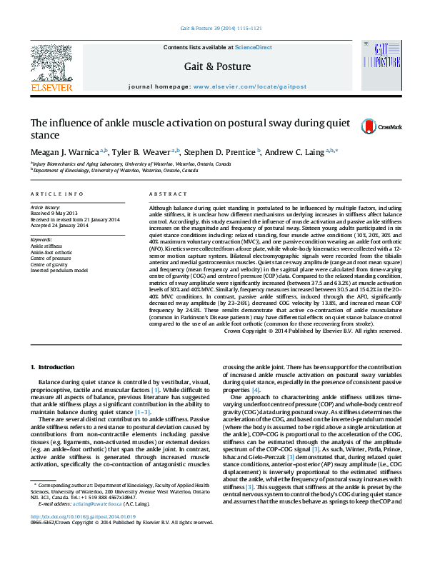 (PDF) The influence of ankle muscle activation on postural sway during ...