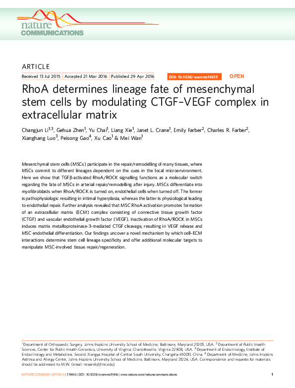 (PDF) RhoA determines lineage fate of mesenchymal stem cells by modulating CTGF–VEGF complex in ...