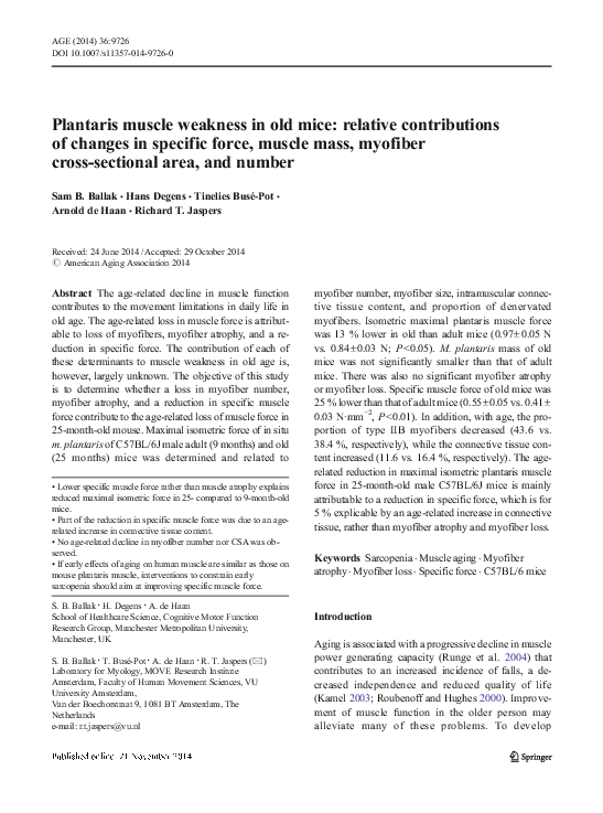 (PDF) Plantaris muscle weakness in old mice: relative contributions of ...