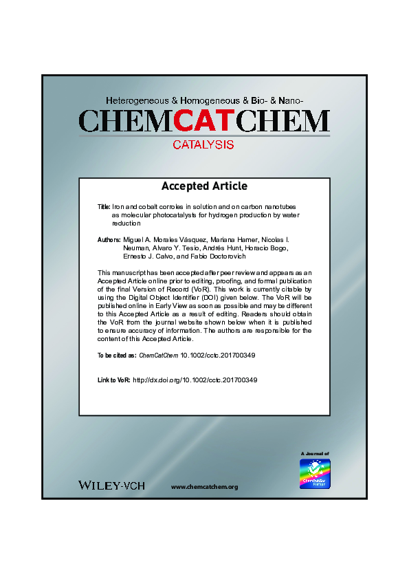 (PDF) Iron and Cobalt Corroles in Solution and on Carbon Nanotubes as ...
