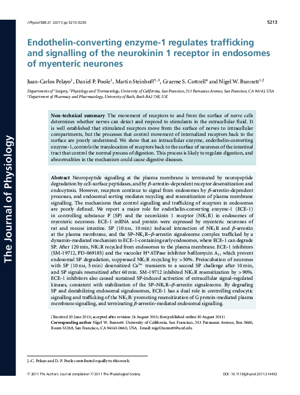 (PDF) Endothelin converting enzyme-1 regulates trafficking and ...
