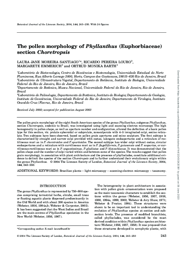 (PDF) The pollen morphology of Phyllanthus (Euphorbiaceae) section ...