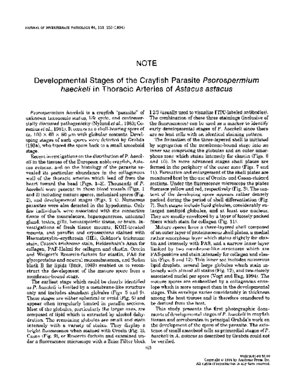 (PDF) Developmental Stages of the Crayfish Parasite Psorospermium ...
