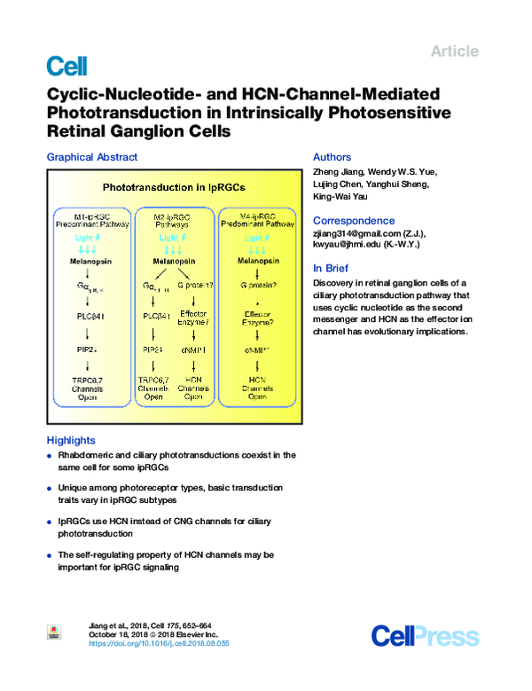 (PDF) Cyclic-Nucleotide- and HCN-Channel-Mediated Phototransduction in ...