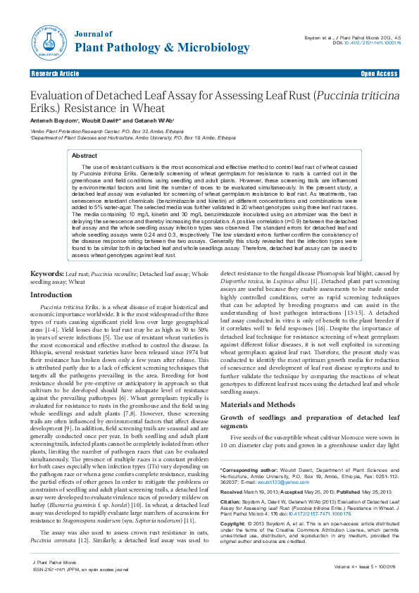(PDF) Evaluation of Detached Leaf Assay for Assessing Leaf Rust ...