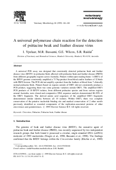 (PDF) A universal polymerase chain reaction for the detection of ...