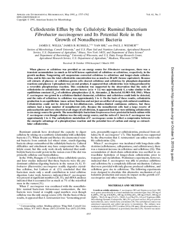 (PDF) Cellodextrin efflux by the cellulolytic ruminal bacterium ...