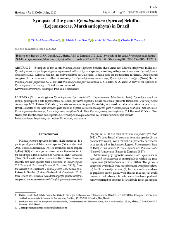 (PDF) Synopsis of the genus Pycnolejeunea (Spruce) Schiffn ...