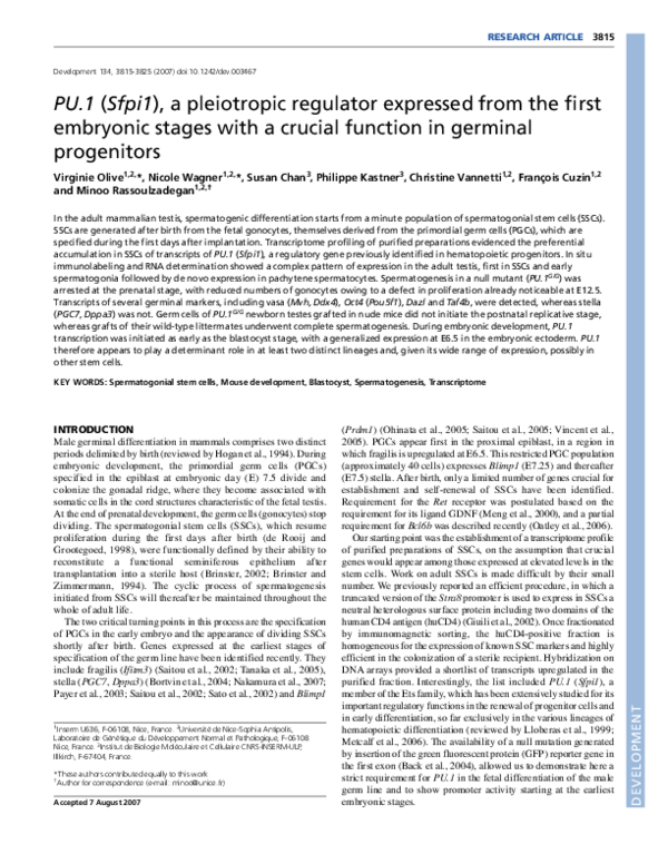 (PDF) PU.1 (Sfpi1), a pleiotropic regulator expressed from the first ...