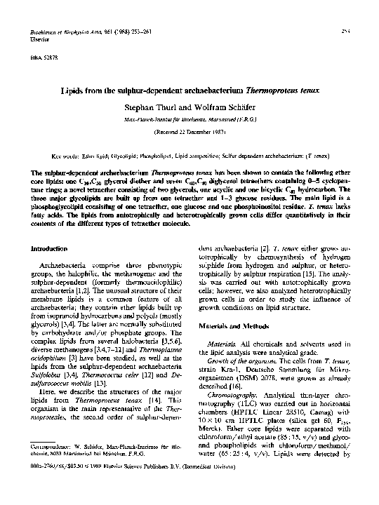 (PDF) Lipids from the sulphur-dependent archaebacterium Thermoproteus tenax